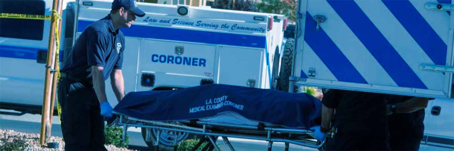 Aftermath: Death, Cleanup, and Discovery - Bio SoCal